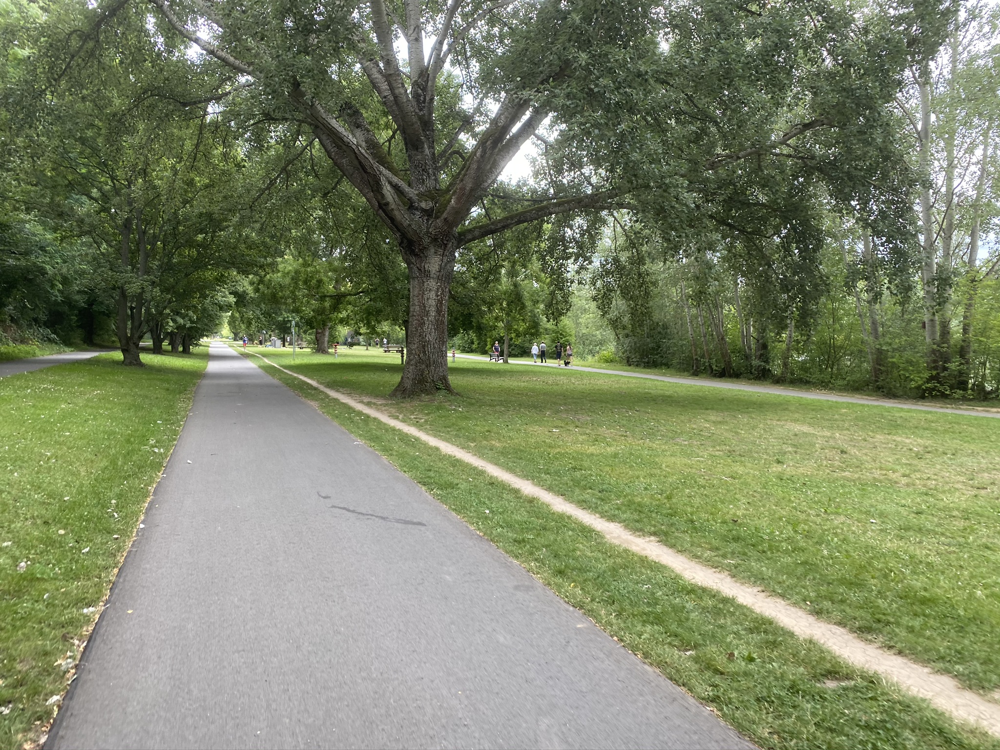 Sanderau | Stadtteil mit hoher Bevölkerungsdichte